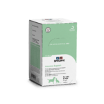 FeLV, czyli białaczka u kotów – co trzeba o niej wiedzieć? - O!MEGA KARMY