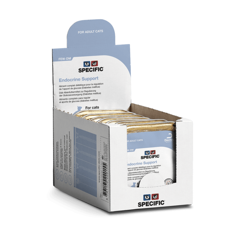 FeLV, czyli białaczka u kotów – co trzeba o niej wiedzieć? - O!MEGA KARMY